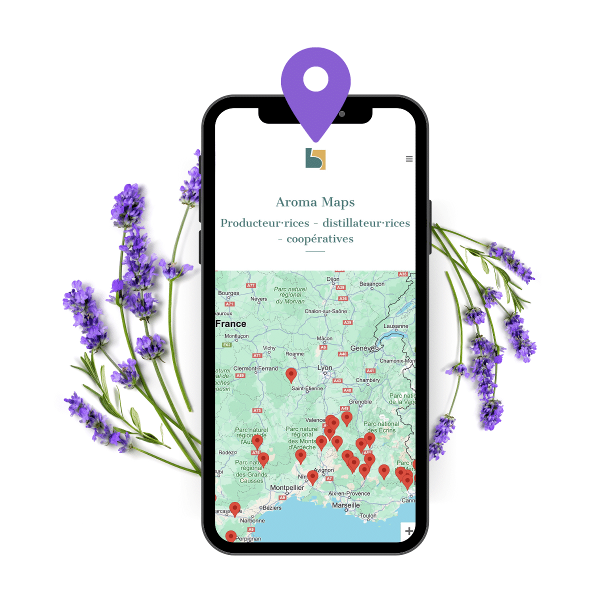 Aroma Maps : producteur·rices - distillateur·rices - coopératives